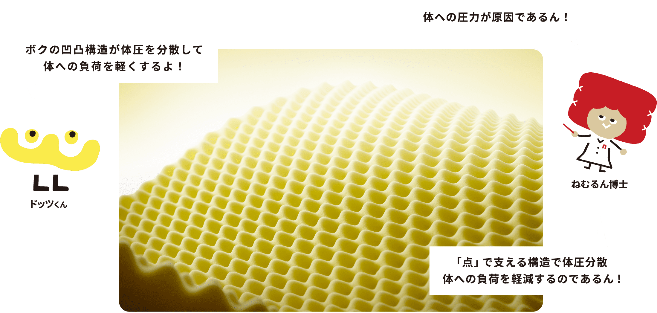 LP｜nishikawaの機能性寝具[睡眠Labo]（nishikawa睡眠ラボ）｜nishikawa